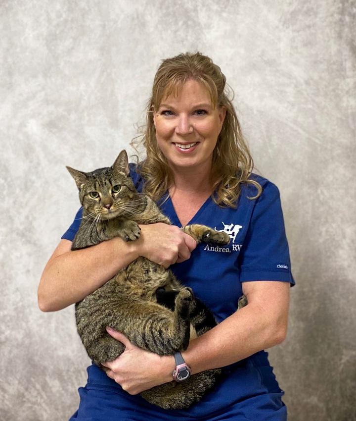 Experienced Veterinarians | Animal Hospital in Saint Louis